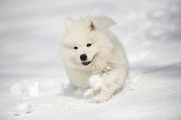 Nature – Summer Sea Sun